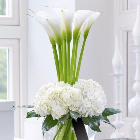 Regular price $139.99 Sale price $119.99