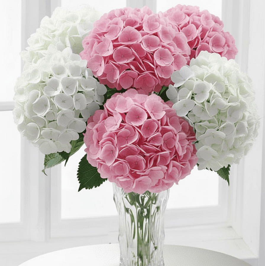 HYDRANGEA BOUQUET (17 OPTIONS TO CHOOSE FROM)